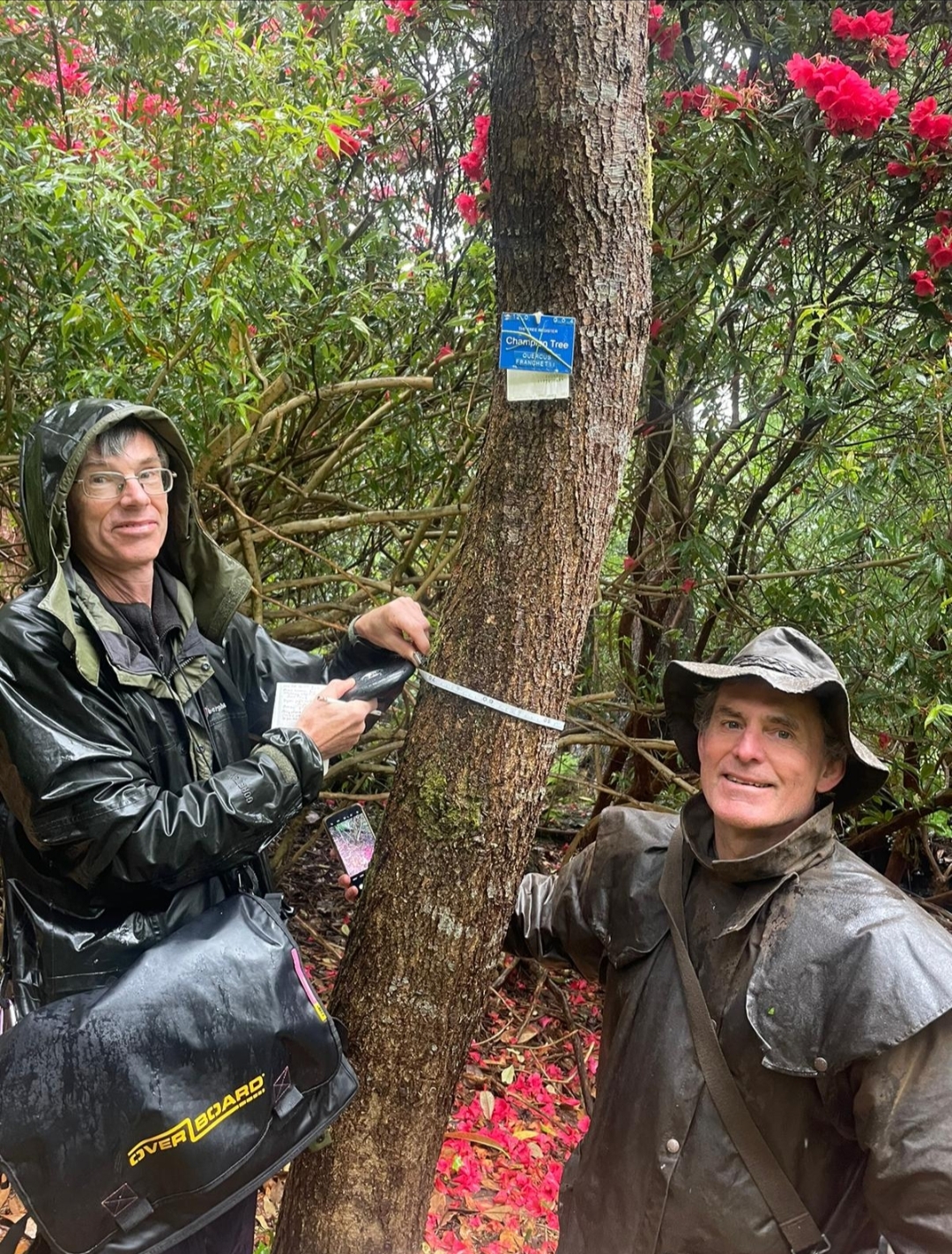 Tree of the Month - July · The Tree Register