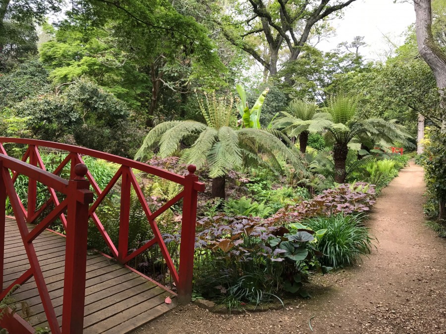 Tree Collections - The Tree Register